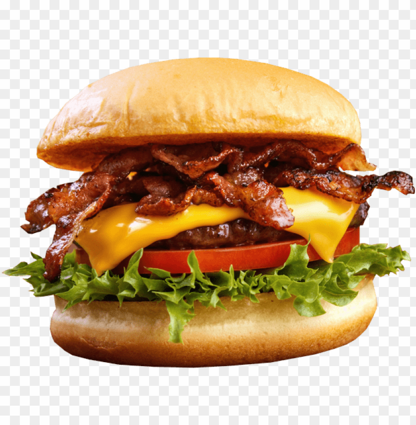Free download | HD PNG burger free pictures PNG images with transparent ...