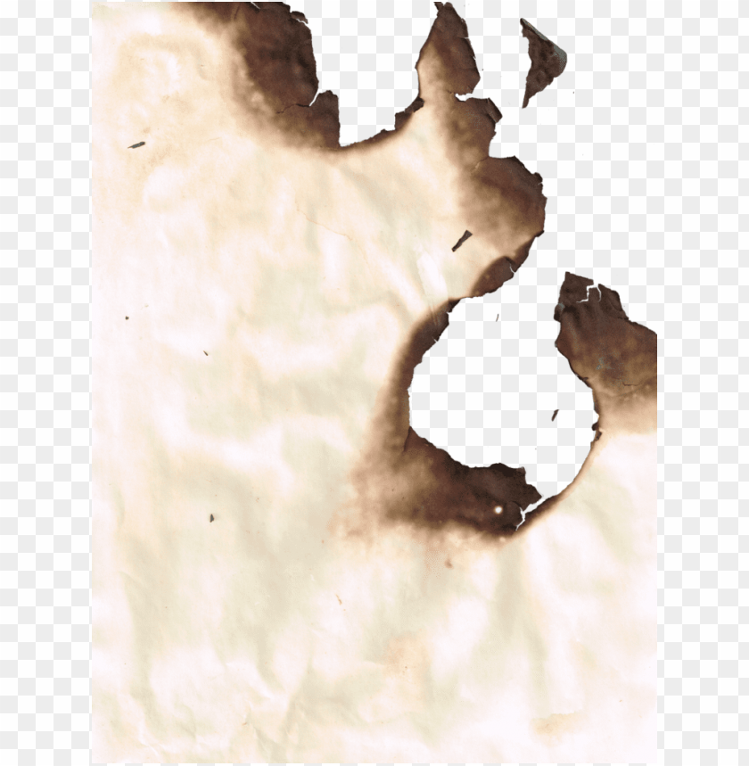 Free download | HD PNG burnt png still life photography PNG transparent ...