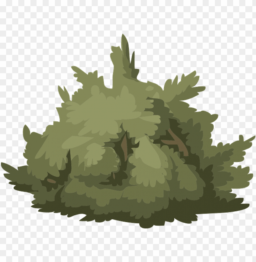 Free download | HD PNG bush shrub green plant nature greenery lus bush ...