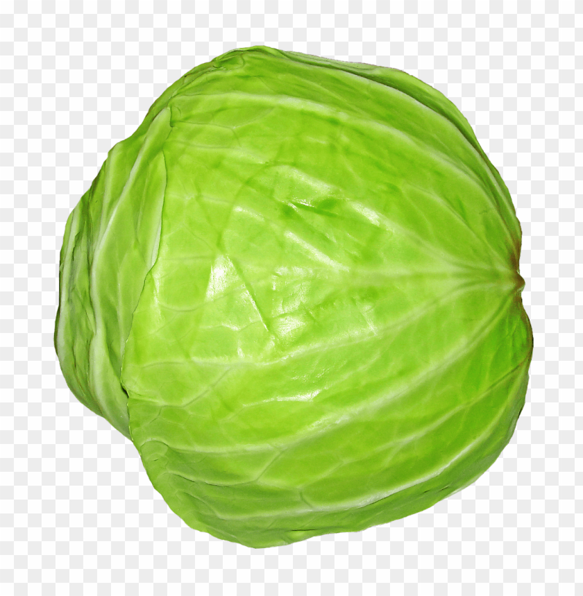 Free download | HD PNG cabbage PNG images with transparent backgrounds ...