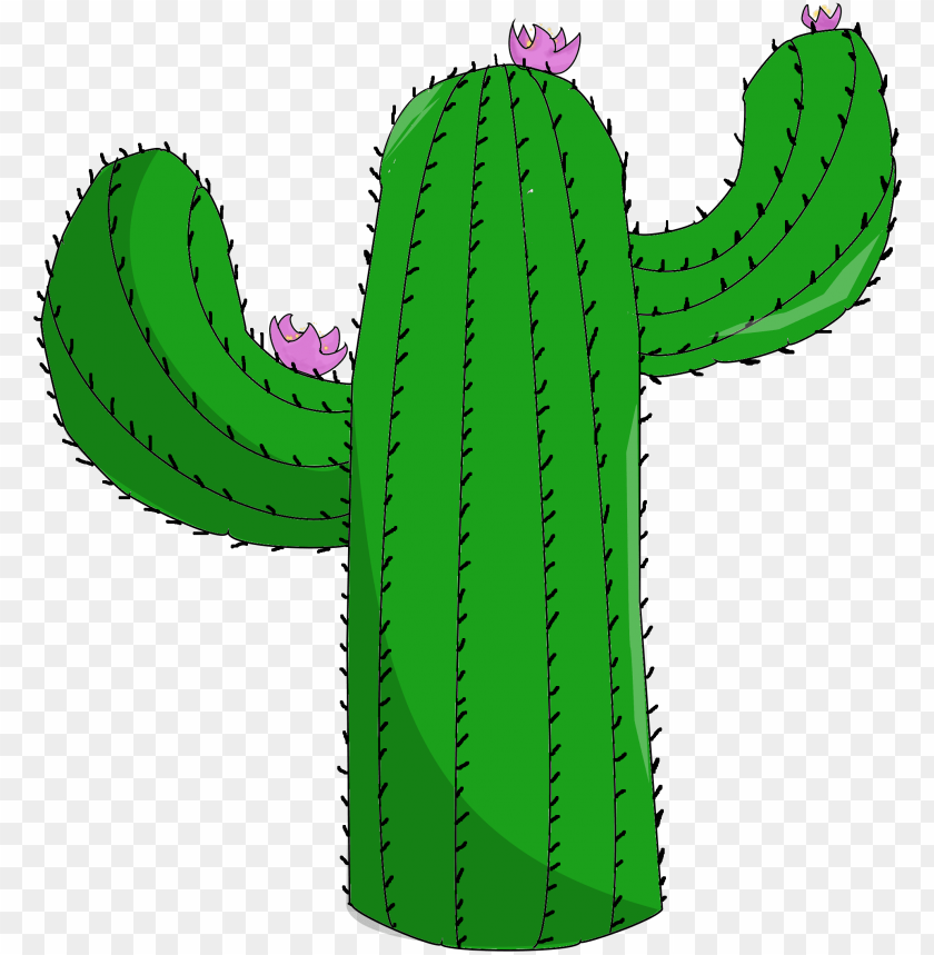 Free download | HD PNG cactus cactus PNG transparent with Clear ...