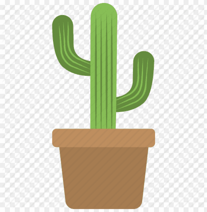 Free download | HD PNG cactus dry plant botanical nature dessert icon ...