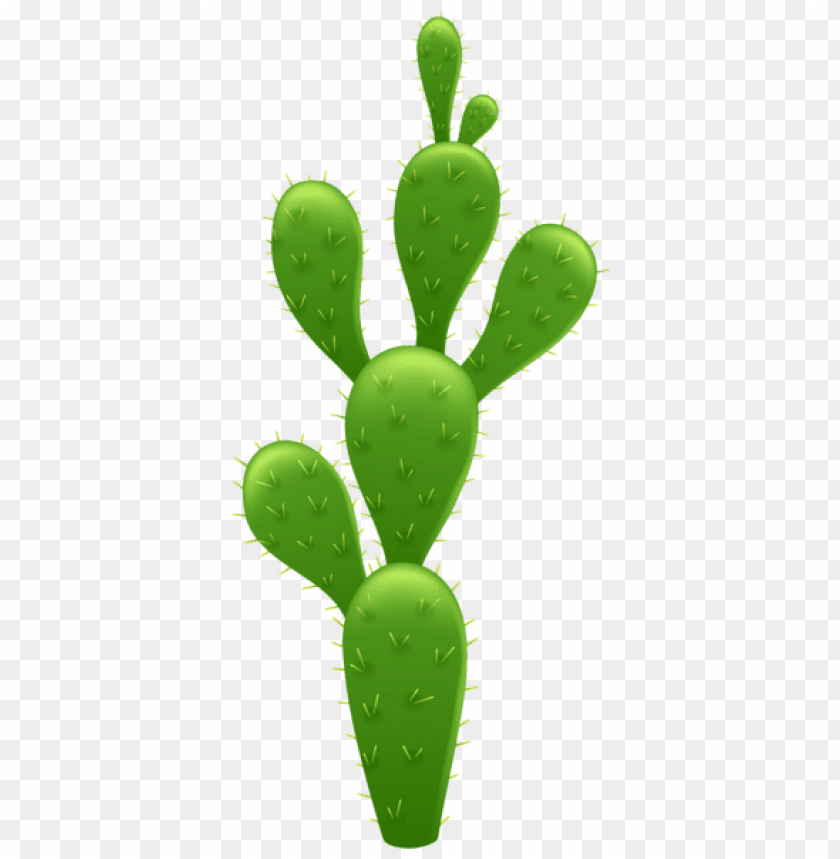 Free download | HD PNG PNG image of cactus transparent with a clear ...