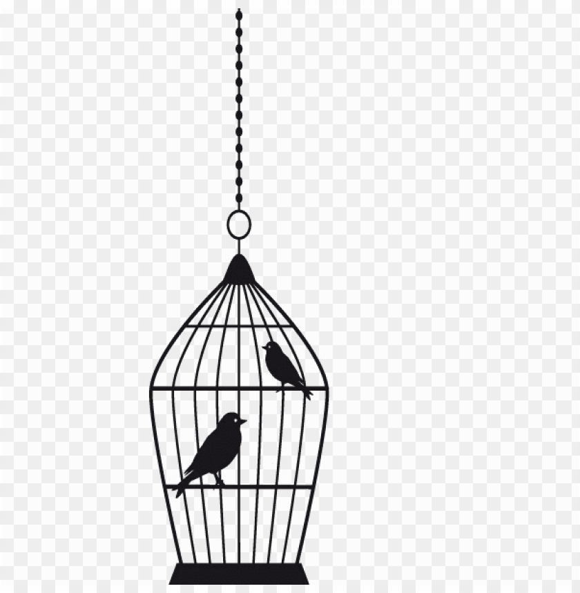 Free download | HD PNG caged bird png image bird cage vector PNG ...