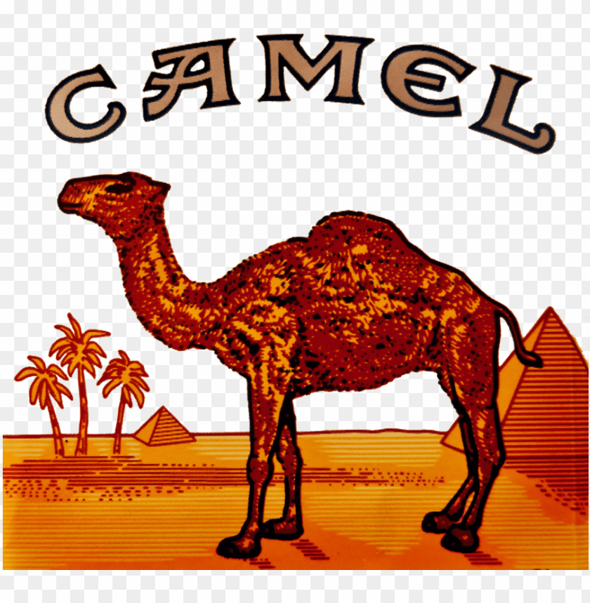 Camel Cigarettes Logo Wallpaper