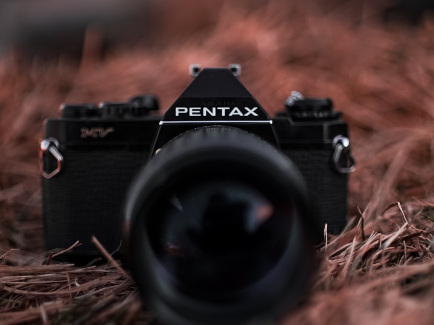 Free download | HD PNG camera lens blur photo grass 4k wallpaper | TOPpng