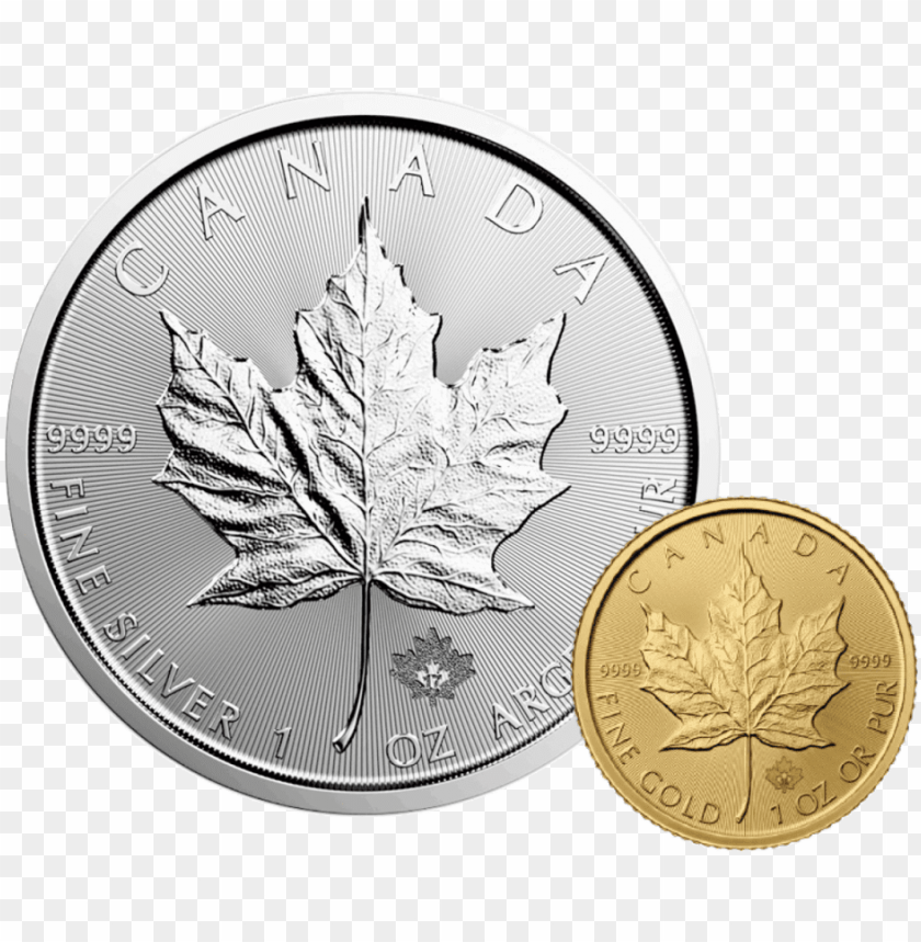 Free download | HD PNG canadian maple leaf 2017 silver maple leaf PNG ...