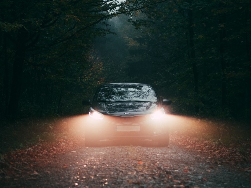 Free download | HD PNG car fog lights forest 4k wallpaper | TOPpng