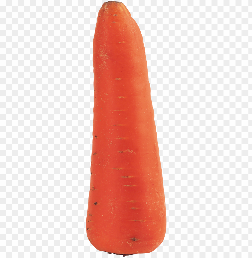 Free download | HD PNG carrot PNG images with transparent backgrounds ...