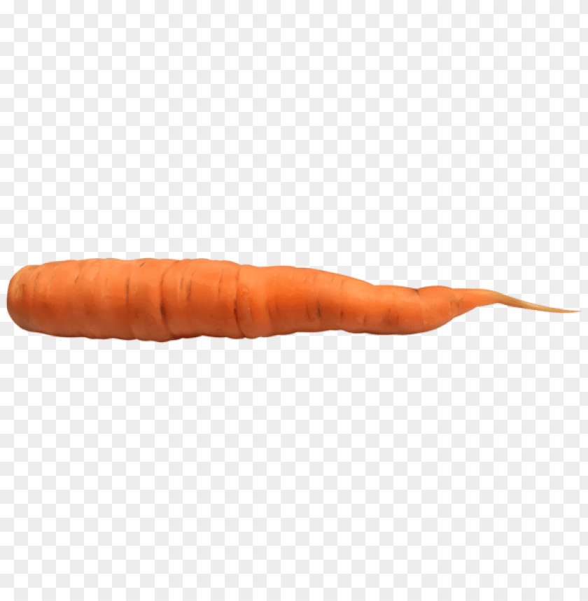 Free download | HD PNG Transparent long carrot transparent PNG ...