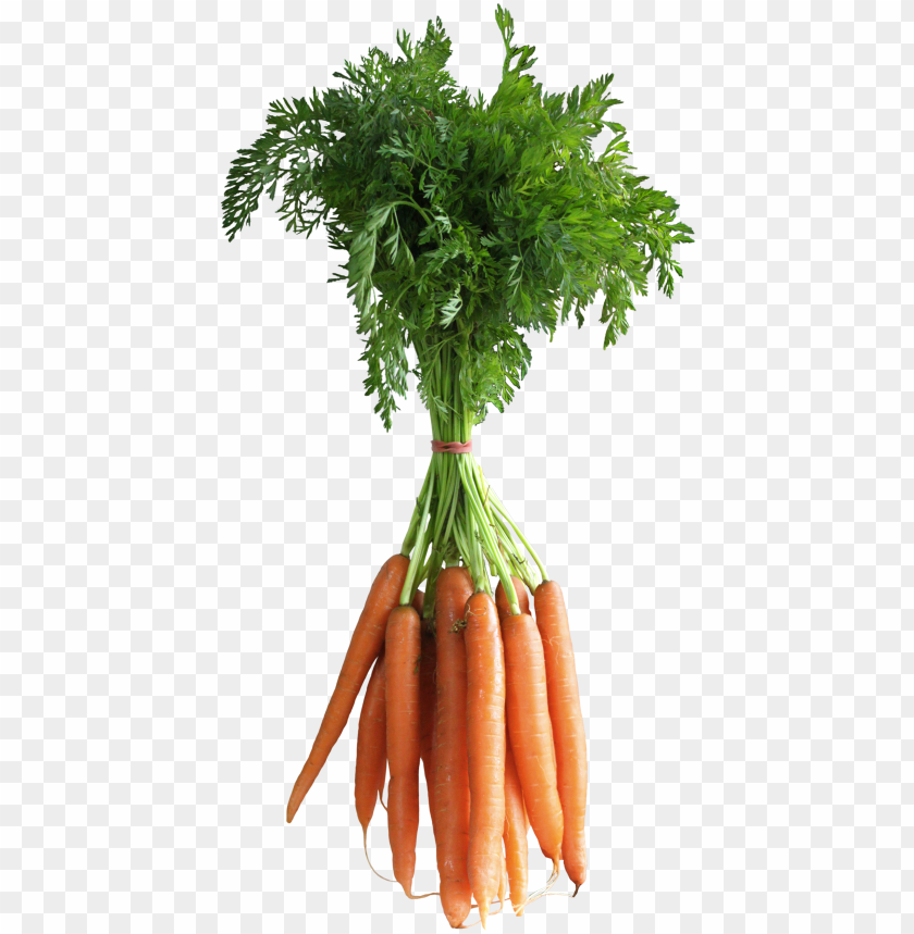 Free download | HD PNG carrots png clipart picture fruits and ...