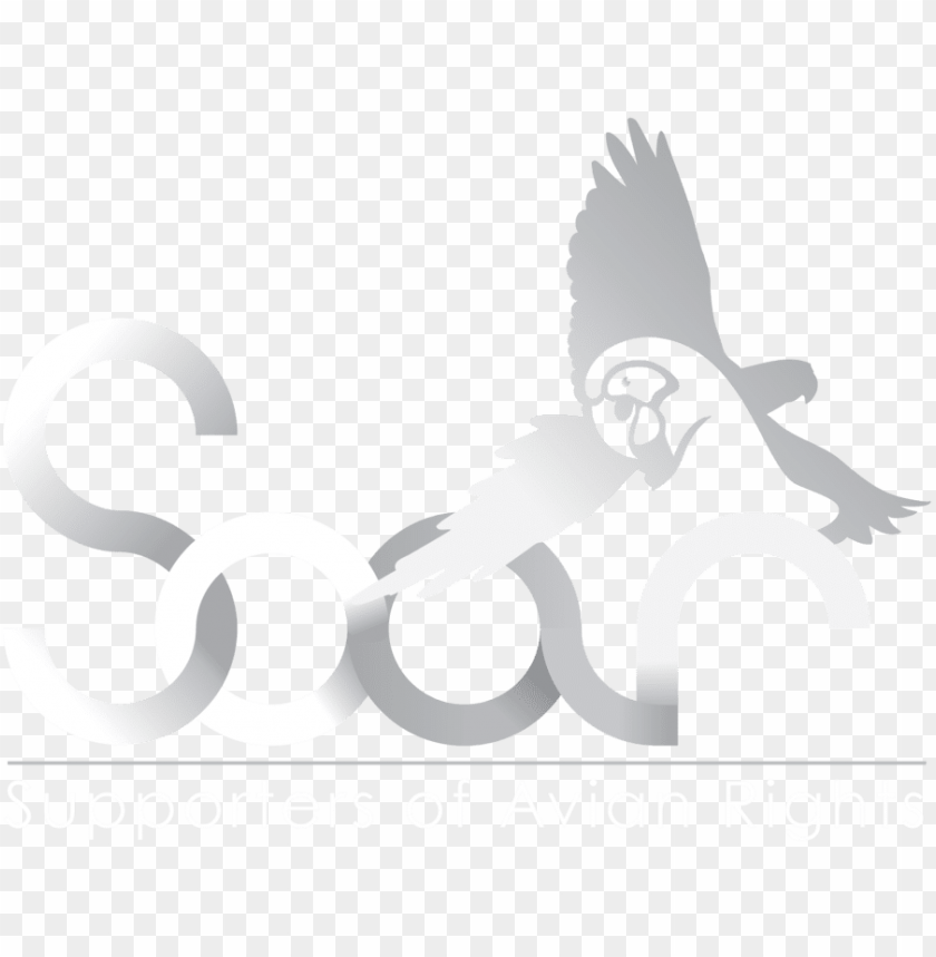 Free download | HD PNG cartoon PNG transparent with Clear Background ID ...