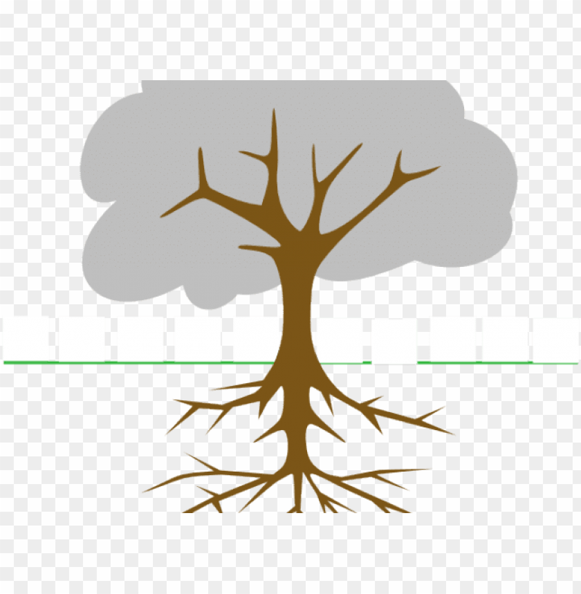 Free download | HD PNG cartoon tree roots tree clip art PNG transparent ...