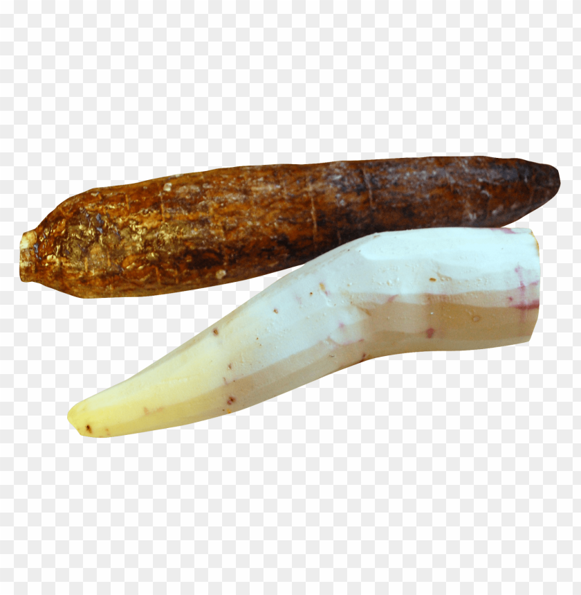 Cassava Leaves cutout PNG & clipart images | TOPpng