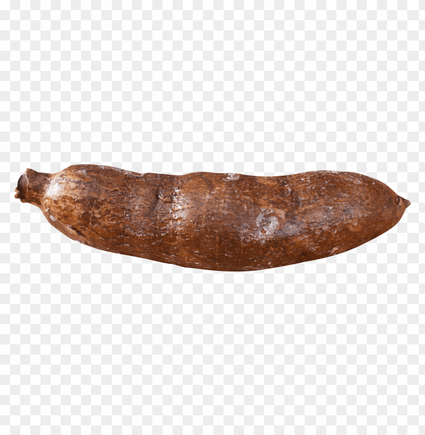 Free download | HD PNG cassava yuca root PNG images with transparent ...
