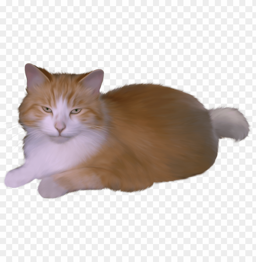 Free download | HD PNG lazy cat sleeping png clipart png photo - 30899 ...