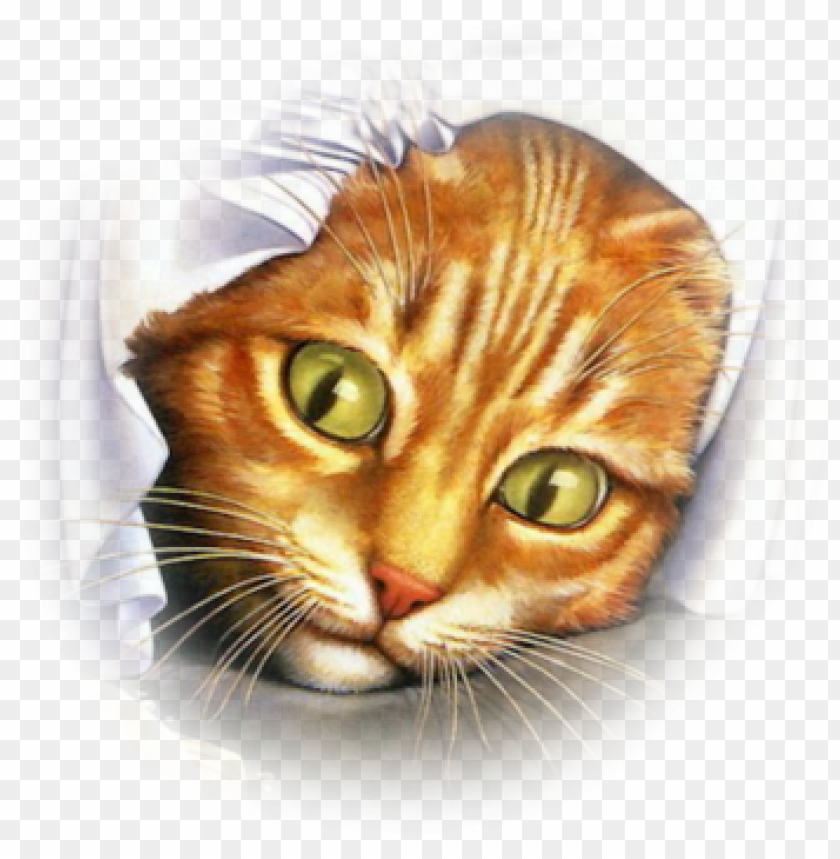 Free download | HD PNG cat breakthru mouses and cat painti PNG ...