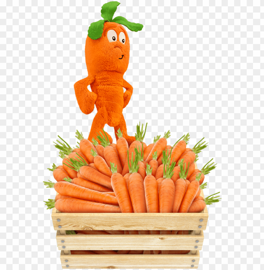 Free download | HD PNG cathy carrot PNG transparent with Clear ...