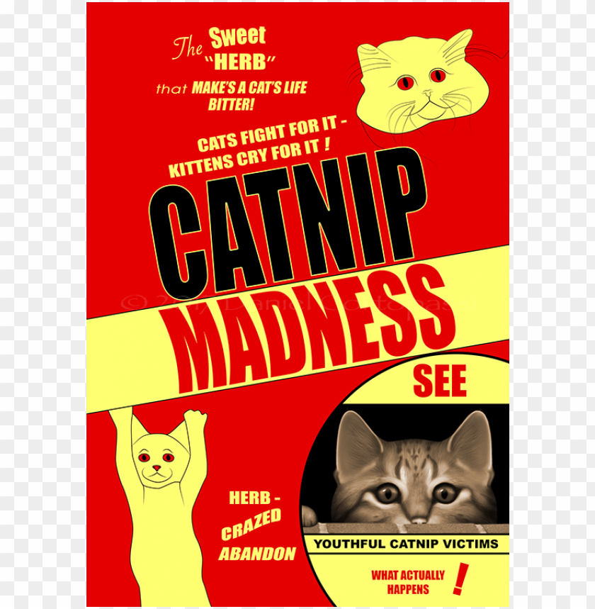 Free download | HD PNG catnip madness big boss PNG transparent with ...