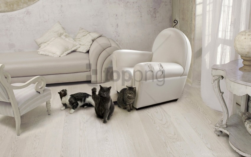 Free download | HD PNG cats chair furniture interior room sofa three ...