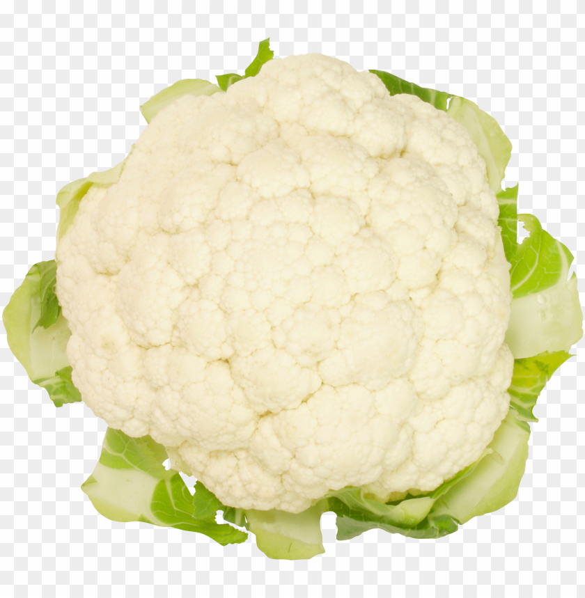 Free download | HD PNG cauliflower PNG images with transparent ...
