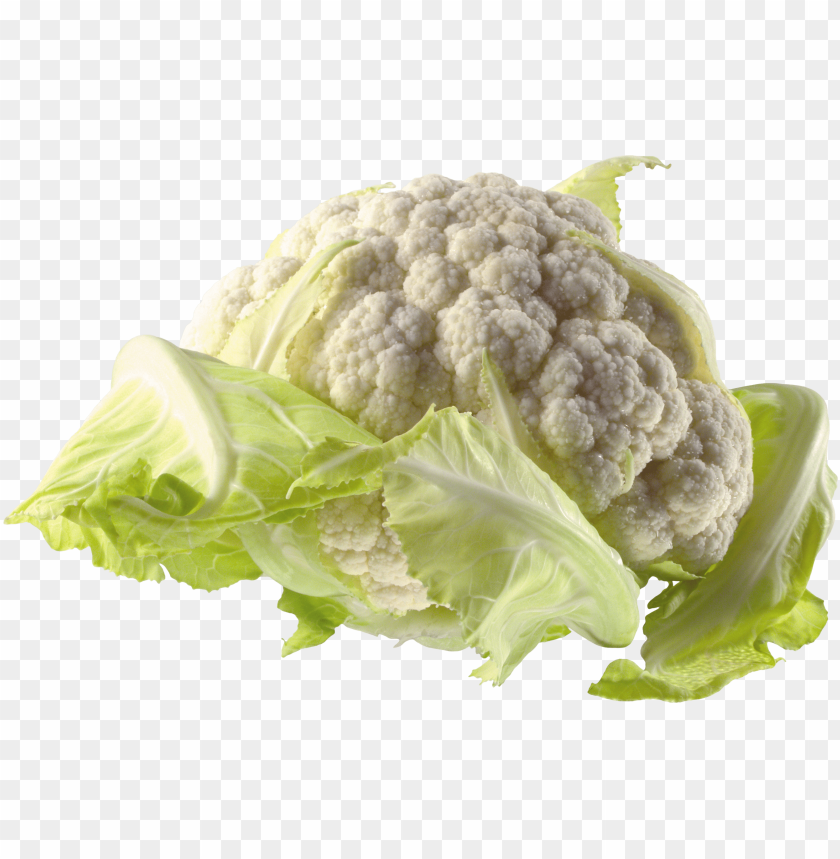 Free download | HD PNG cauliflower PNG images with transparent ...