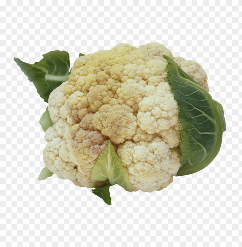 Free download | HD PNG cauliflower PNG images with transparent ...