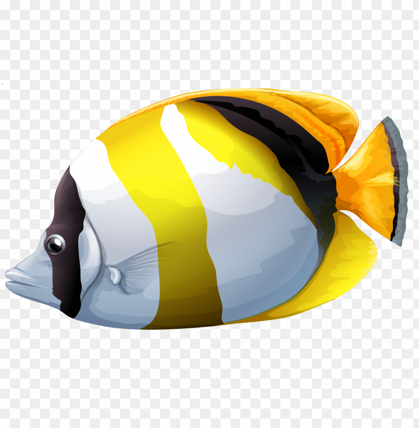 Free download | HD PNG chaetodon butterfly fish png clipart png photo ...