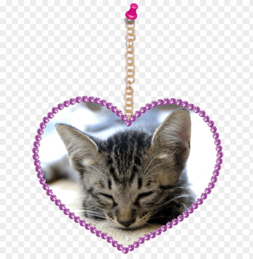 Free download | HD PNG chained heart png PNG transparent with Clear ...
