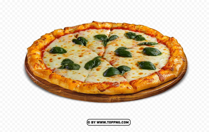 Free download | HD PNG cheese pizza png transparent images free ...