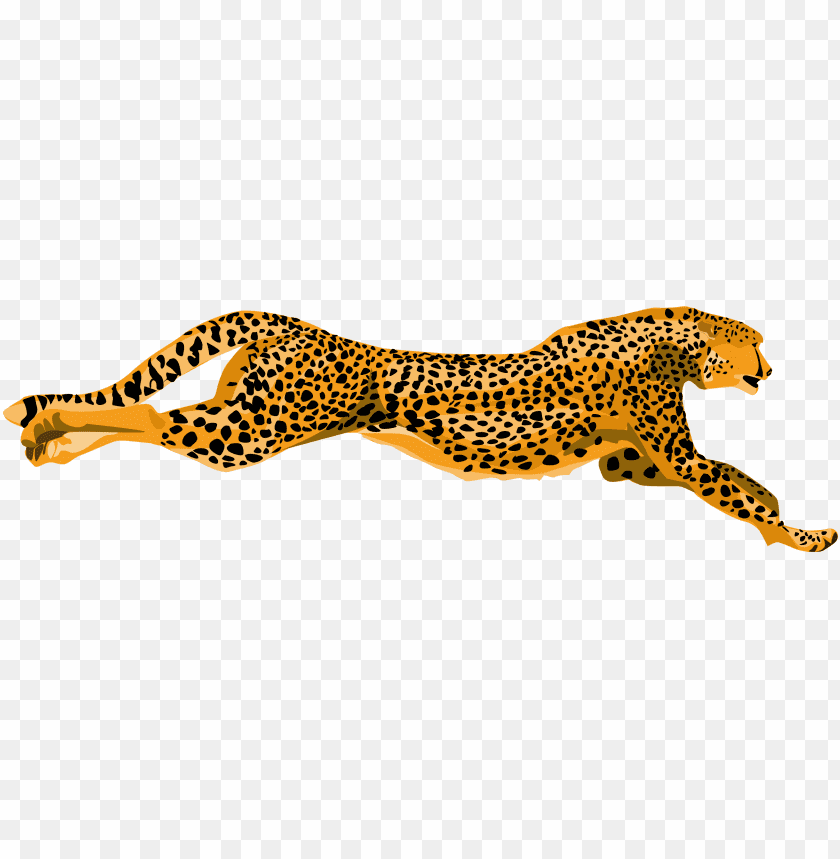 Free download | HD PNG running leopard png png images background ...