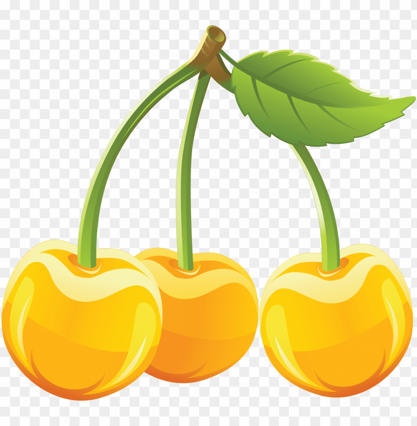 Free download | HD PNG yellow cherries vector transparent clipart png ...