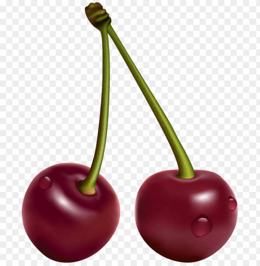 Free download | HD PNG pair of dark purple cherries | TOPpng