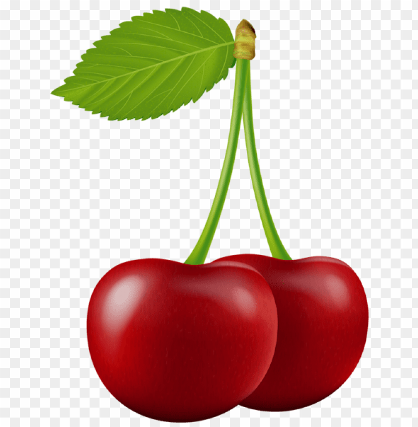 Free download | HD PNG red cherries with bright stems | TOPpng