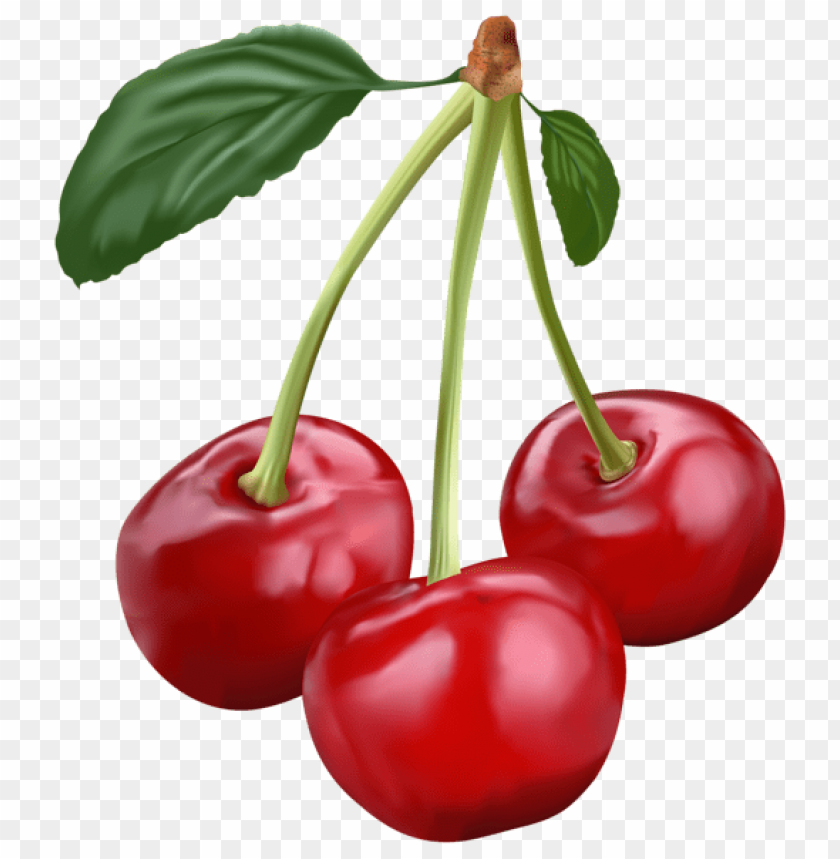 Free download | HD PNG bright red cherries with clustered stems | TOPpng