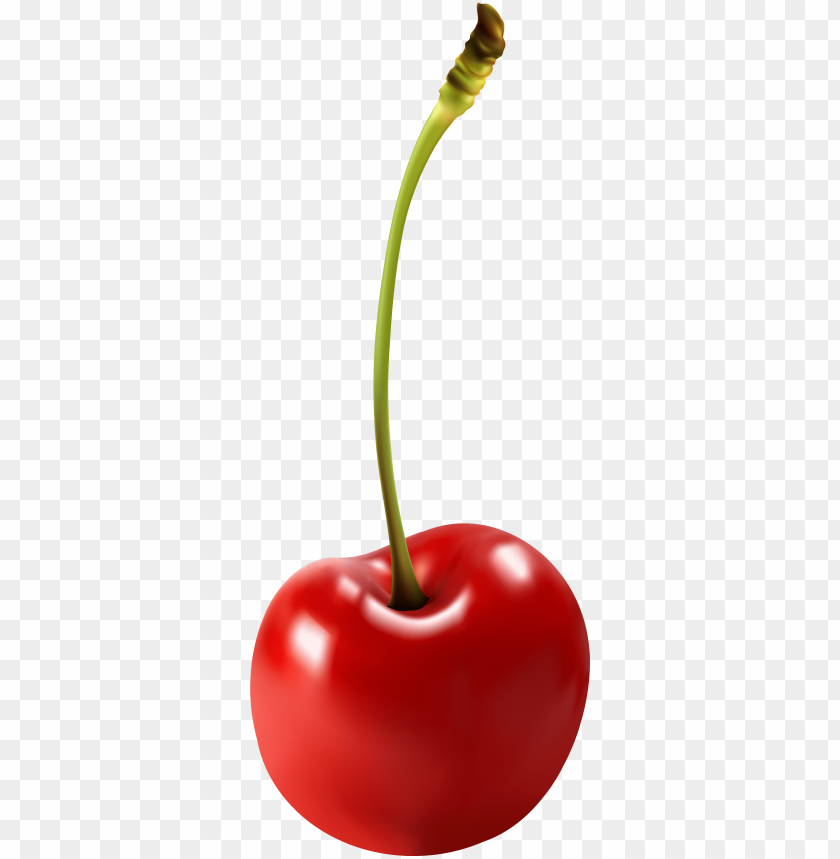 Free download | HD PNG cherry clipart PNG transparent with Clear ...