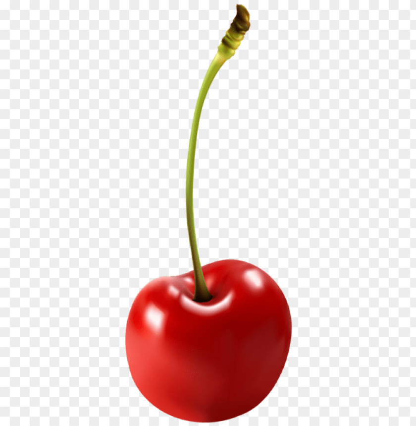Free download | HD PNG cherry free png - Free PNG Images ID 51533 | TOPpng