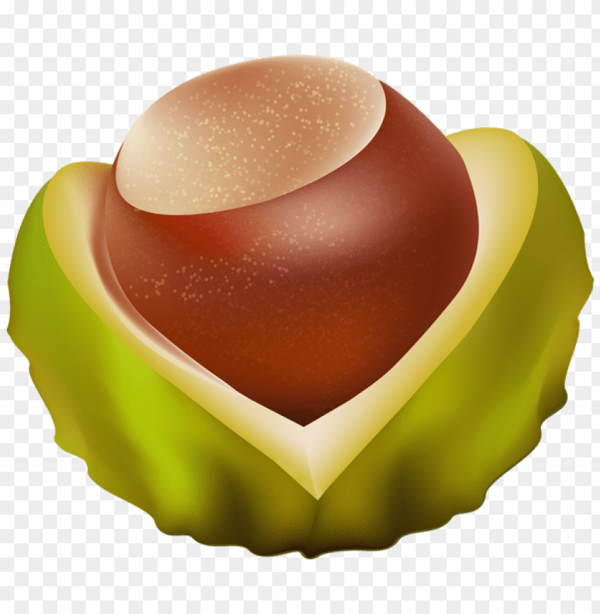 Free download | HD PNG chestnut clipart png photo - 56017 | TOPpng