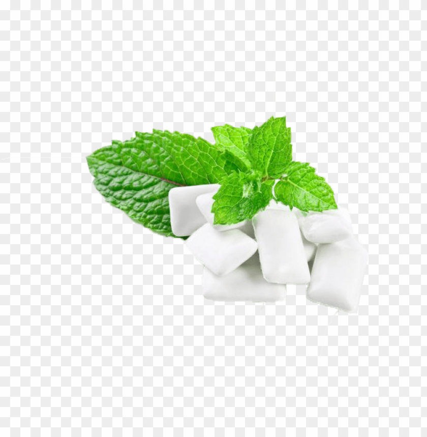 Free download | HD PNG chewing gum s PNG images with transparent ...