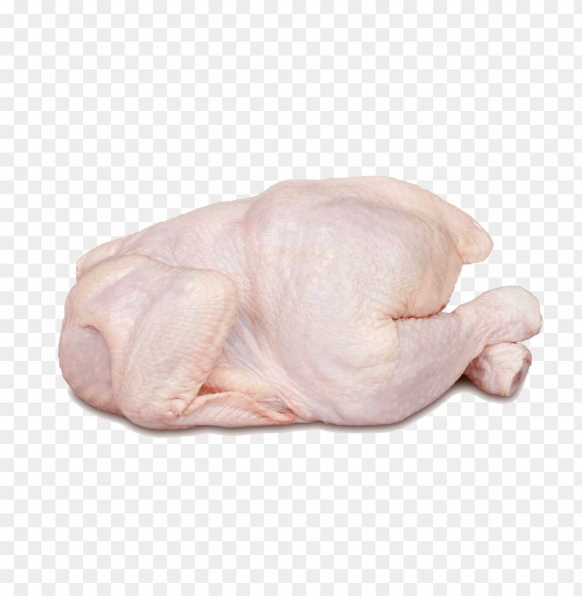 Free download | HD PNG whole raw chicken png PNG images with ...