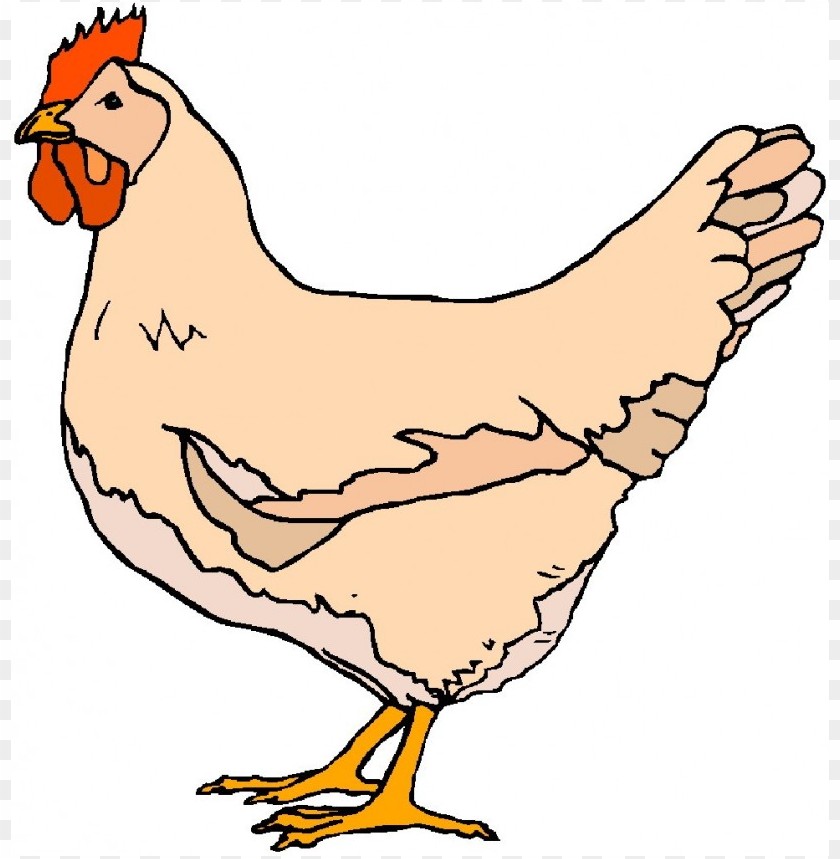 Free download | HD PNG chicken meat clipart PNG transparent with Clear ...