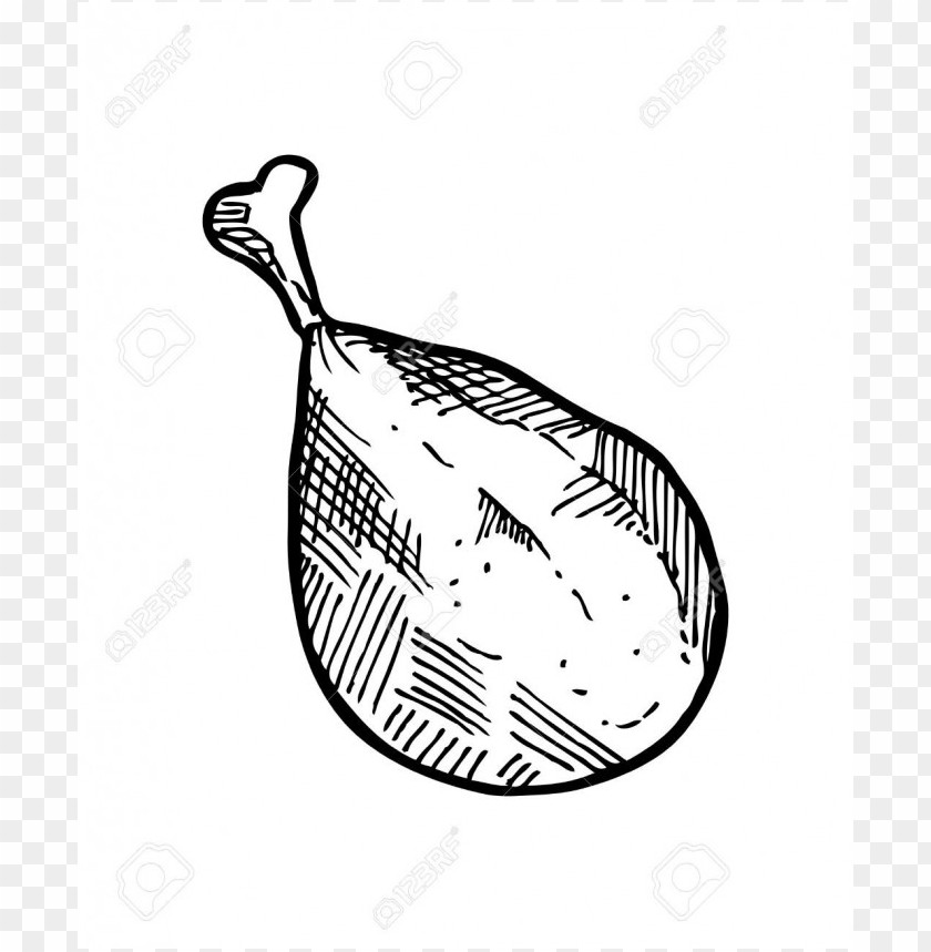 Free download | HD PNG chicken meat drawing PNG transparent with Clear ...
