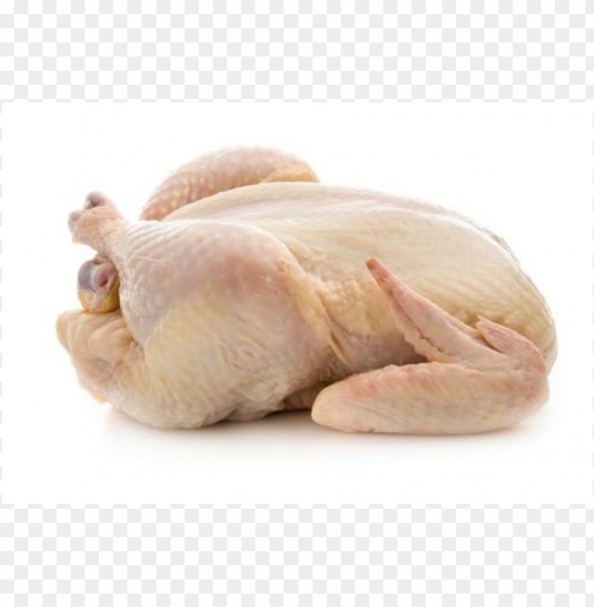 Free download | HD PNG chicken meat pictures PNG transparent with Clear ...