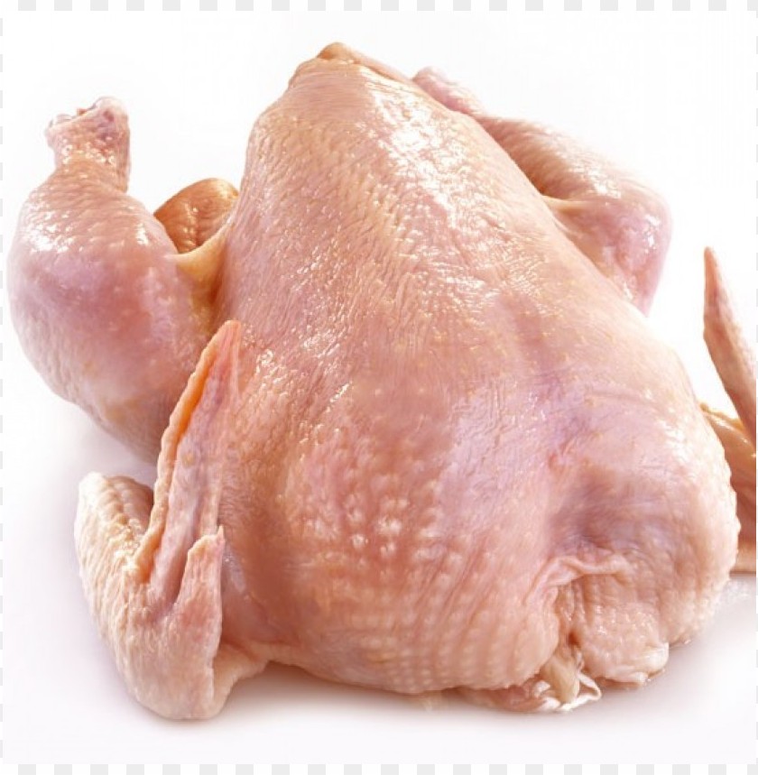 Free download | HD PNG chicken meat pictures PNG transparent with Clear ...