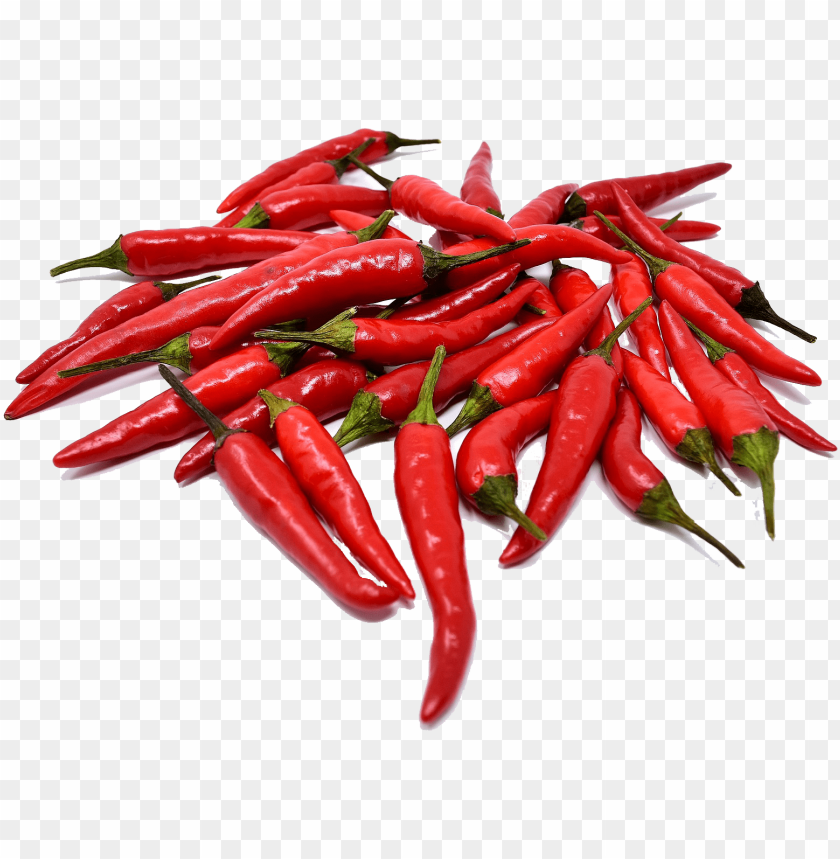 Free download | HD PNG chilli peppers chili pepper PNG transparent with ...