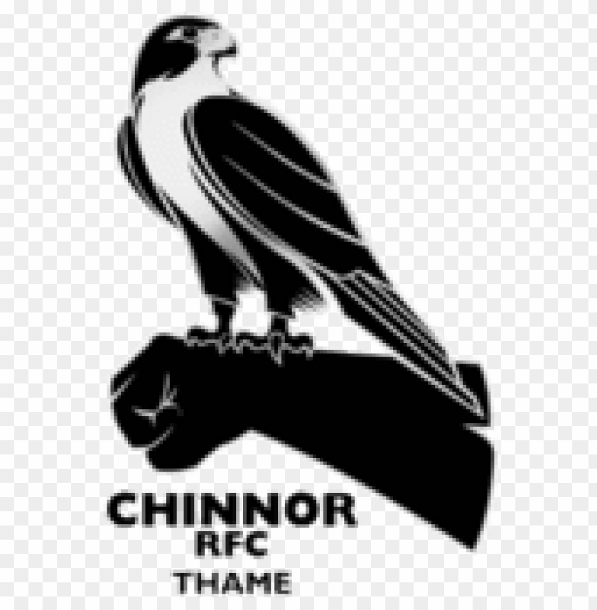 Free download | HD PNG chinnor rfc rugby logo png | TOPpng