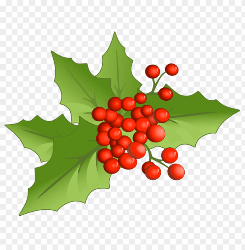 Free download | HD PNG christmas large png mistletoe PNG Images 40994 ...