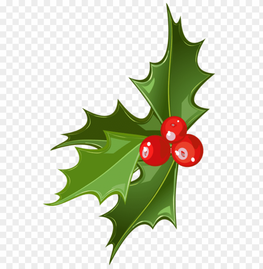 Free download | HD PNG christmas mistletoe picture PNG Images 40958 ...