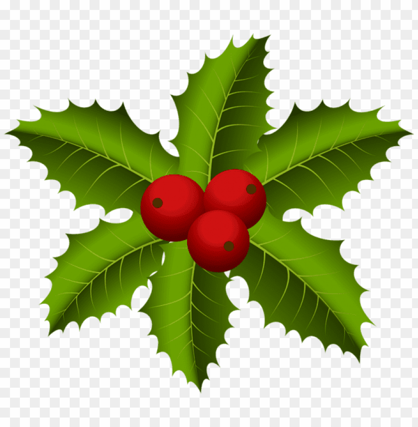 Free download | HD PNG christmas mistletoe png PNG Images 40967 | TOPpng