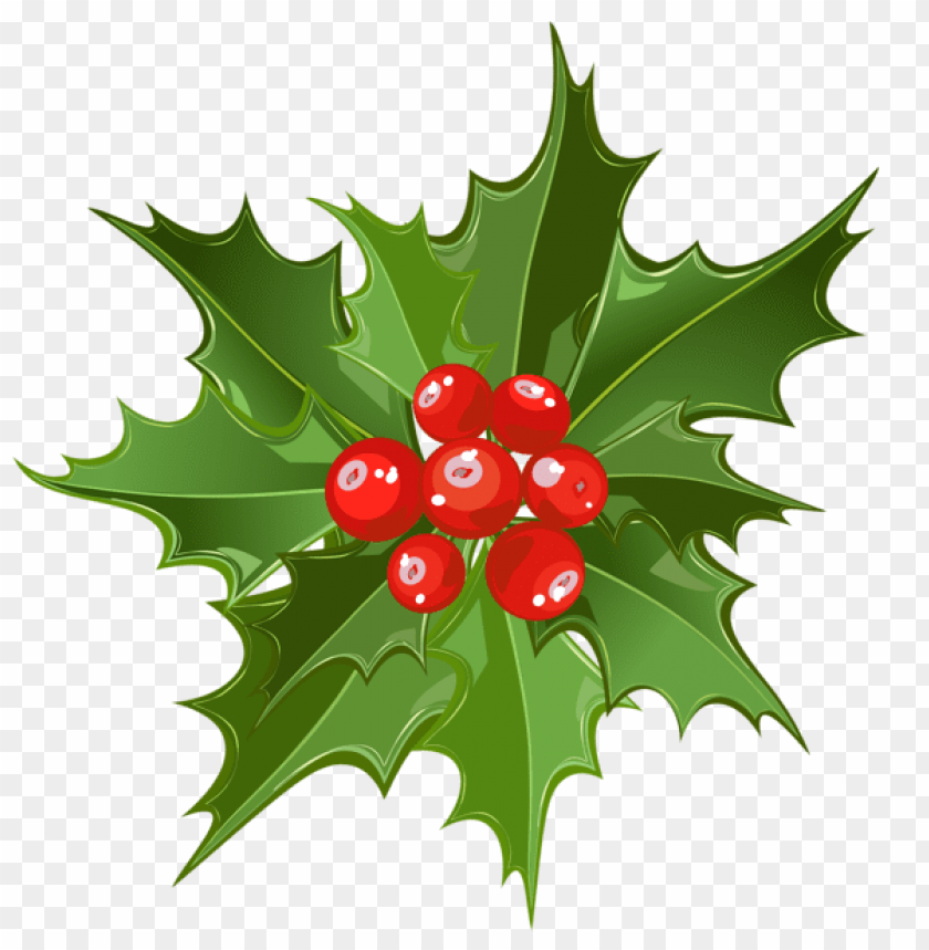 Mistletoe Transparent Background